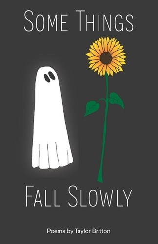 Some Things Fall Slowly by Taylor Britton Paperback Book 9798872966388 ...