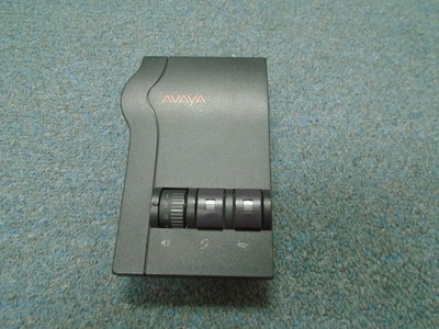 Security & Surveillance - Avaya Amplifier
