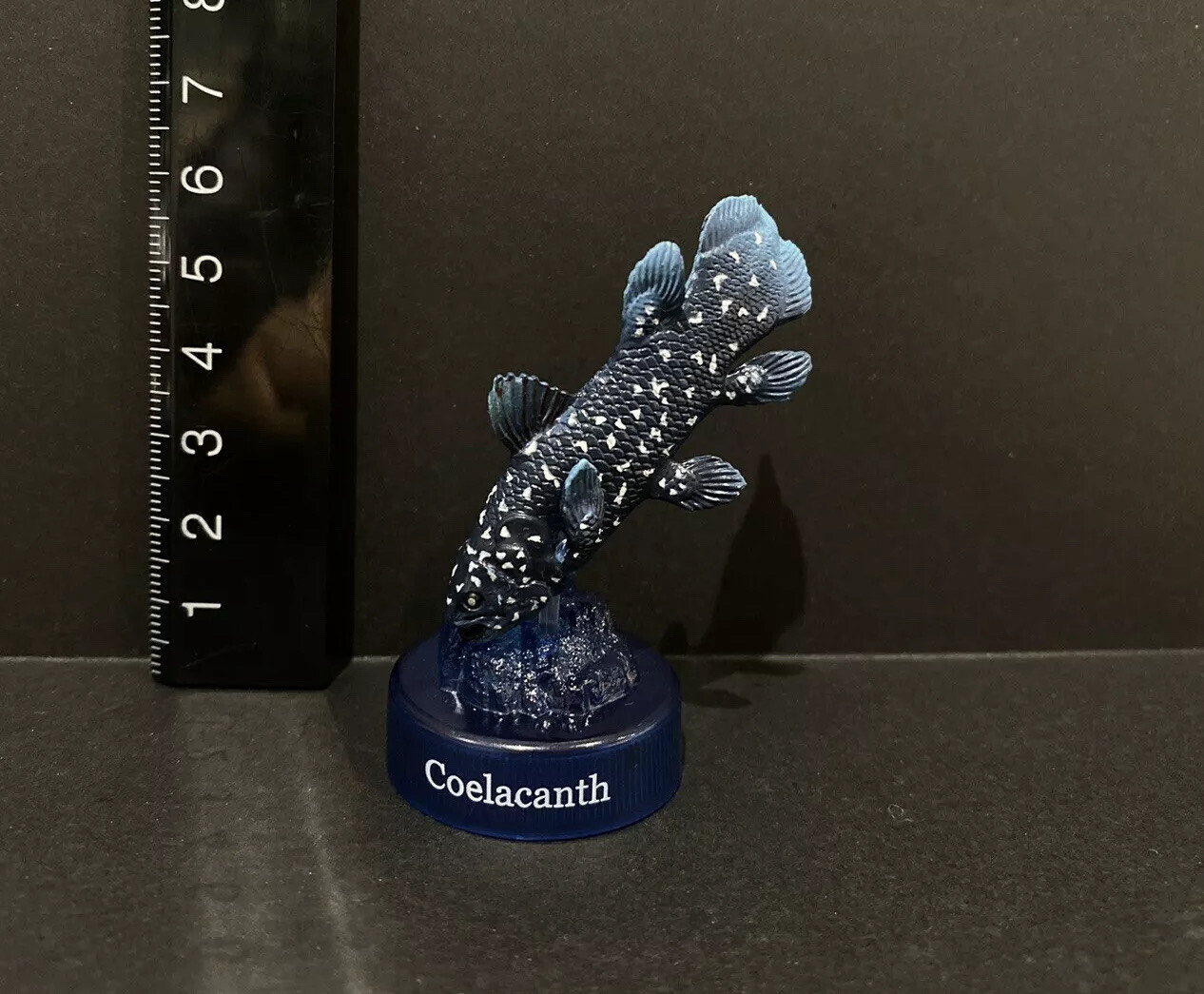 RARE Kaiyodo Deep Sea Coelacanth Fish Figure | eBay