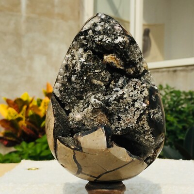 910g Natural Dragon Septarian Septarium Calcite Crystal Geodes Specimen ...