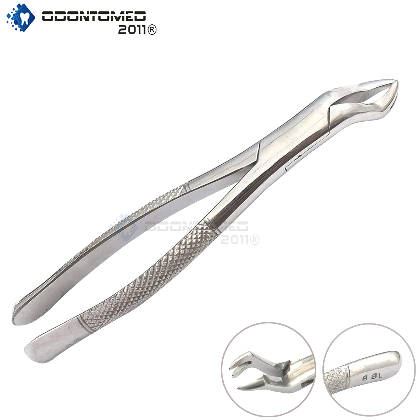 Dental Extracting Forcep 88L Molar Tooth Extraction Surgical Tools | eBay