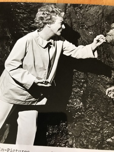 JOAN CRAWFORD JOE CORNELIUS Original Glossy Still Photo From The Movie ...