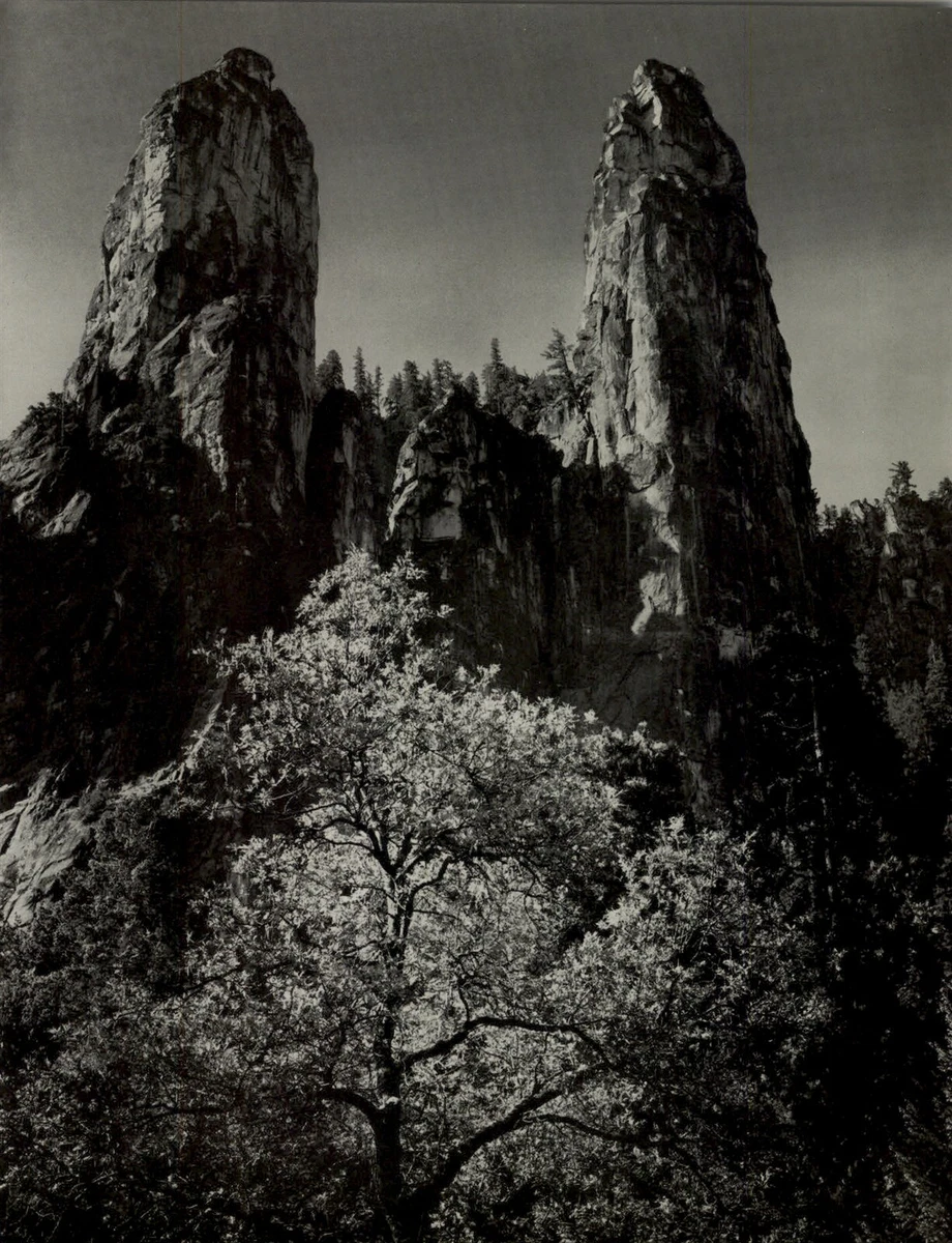 Ansel Adams Color Flowers