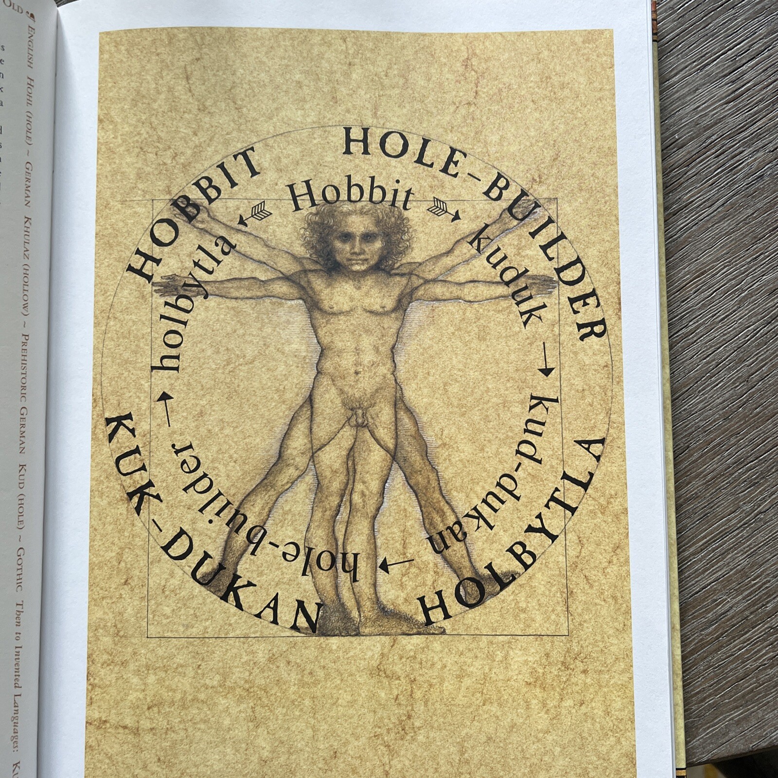 HOBBIT Companion by David Day, 1997, Hardcover Illustrated by Lidia ...