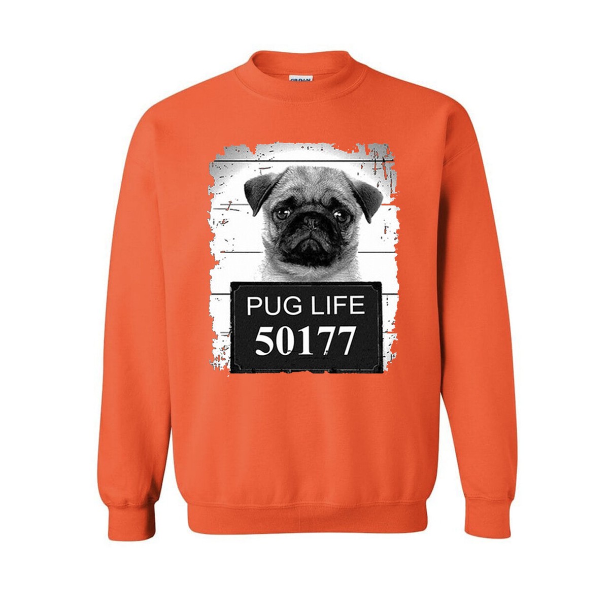 Pug Dog Adult Sweatshirts