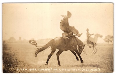 A New York cowboy on a Texas hoss Horse Bucking Bronco RPPC Postcard | eBay