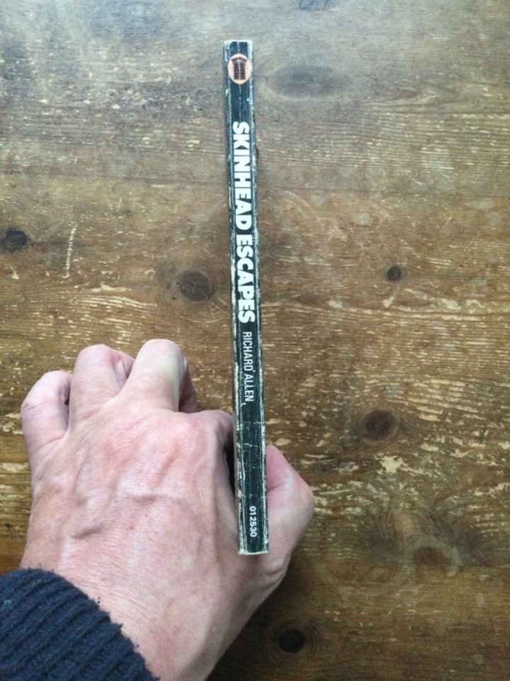 Skinhead escapes Richard Allen Skinhead Series 1972 Edition Book | eBay UK