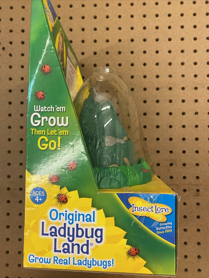 Ladybug Land Live Ladybug Hatching Insect Lore Metamorphosis Terrarium ...