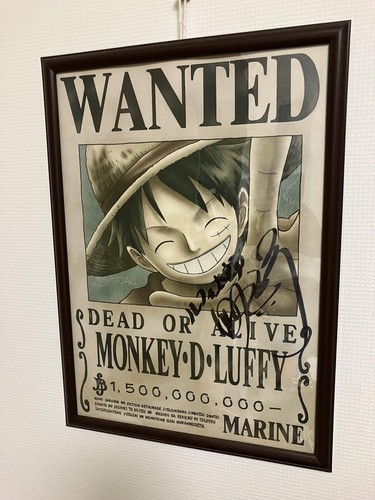 One Piece Luffy Role Mayumi Tanaka Autographed Arrangement Form ...