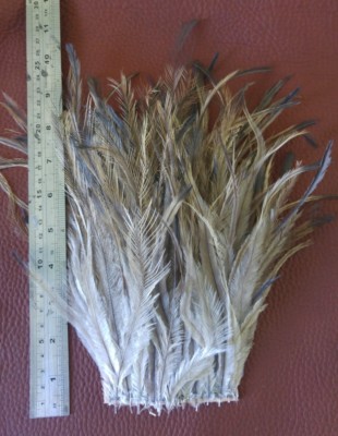 WW1 Australian Light Horse Emu plume | eBay