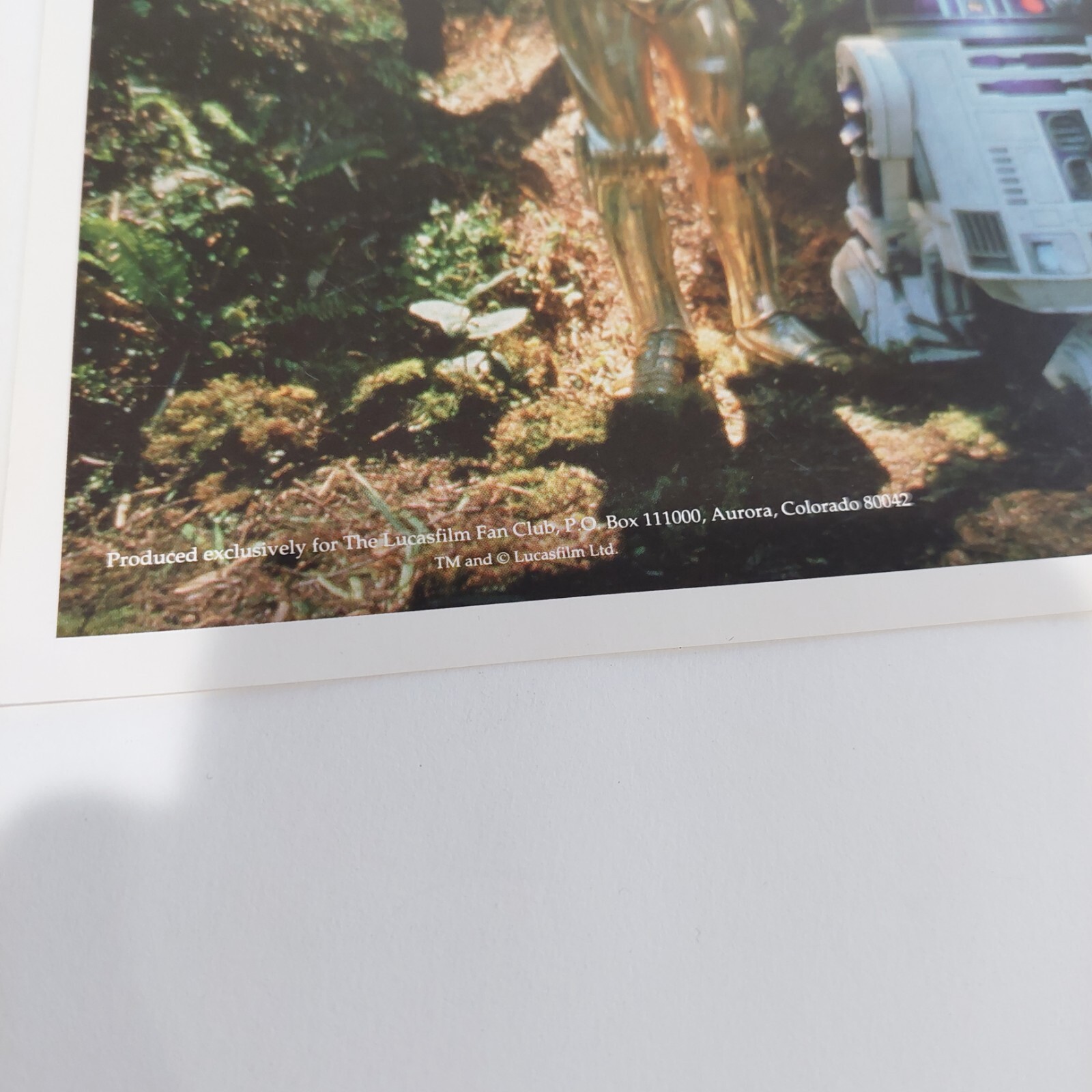 Vintage Lucas Film Fan Club 10" x 8" Endor R2-D2 C-3PO Photo Art Print ...