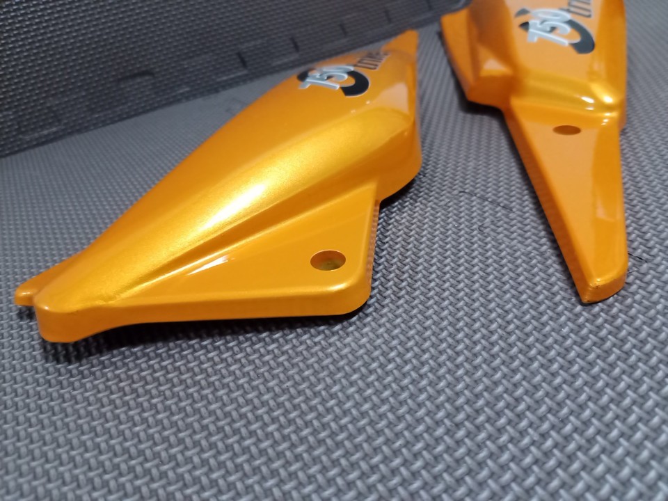 1997-2000 Laverda Ghost 750 Strike side Fairing Cowl Zane ZLV | eBay