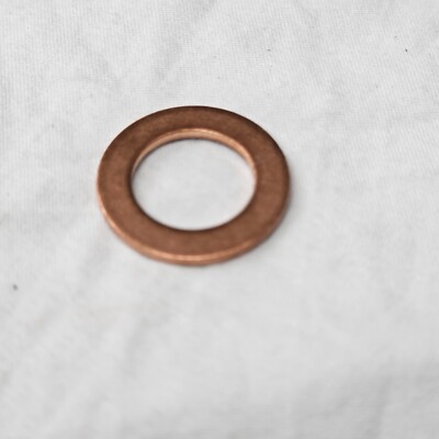 Victory Indian Drain Plug Washer (see description for applicable models ...