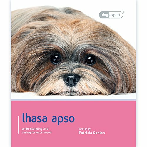 Lhasa Apso: Dog Expert by Patricia Conlon Book The Fast Free Shipping ...