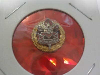 P-6841 Collar Brass Professional Staff Pin | eBay