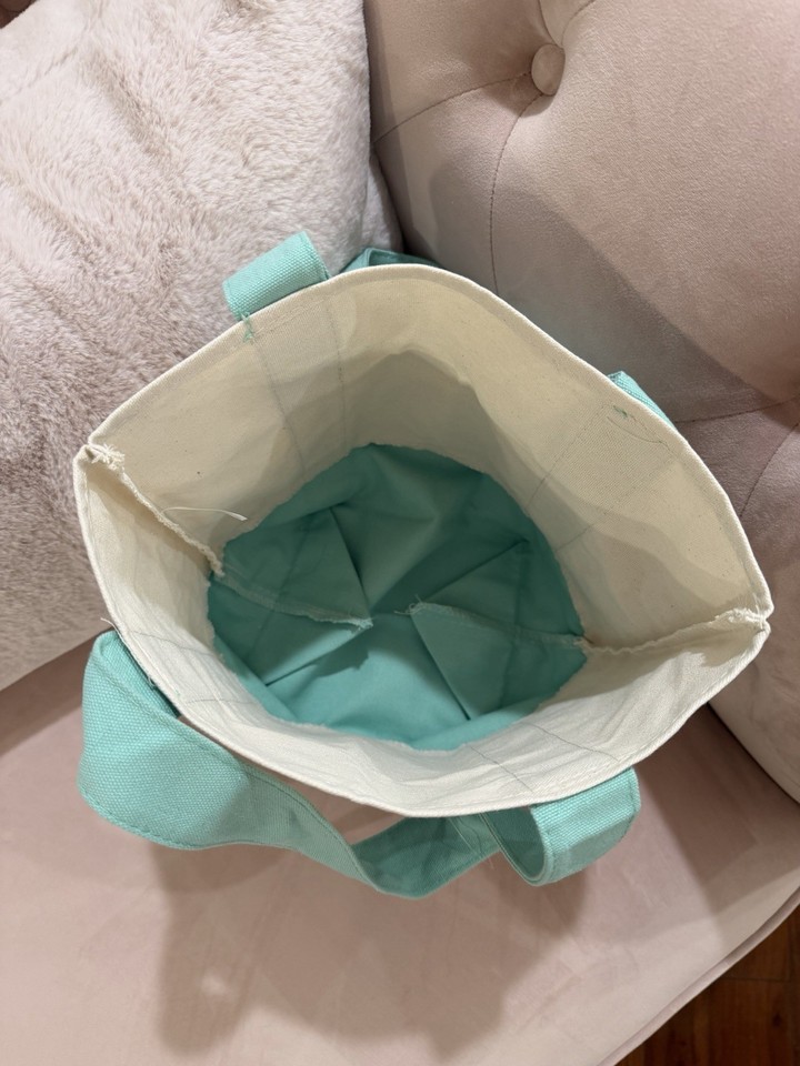 TRADER JOES Mini Canvas Tote Bag Spring 2025 Pastel Mint Green ...