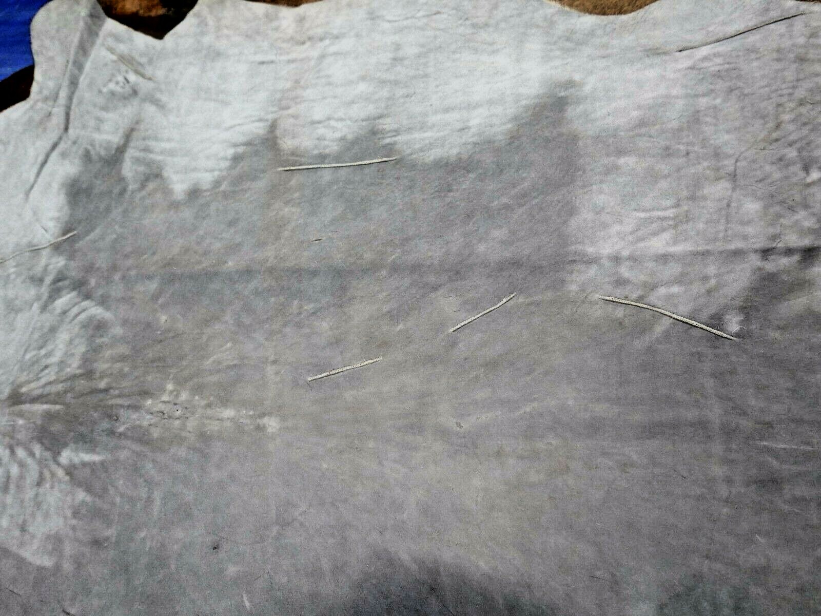 Red Hartebeest skin - African Deer Skin - Deer Hide Rug - Antelope Rug ...