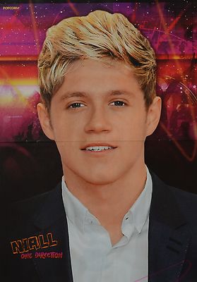 NIALL HORAN - A3 Poster (ca. 42 x 28 cm) - One Direction Clippings Fan ...