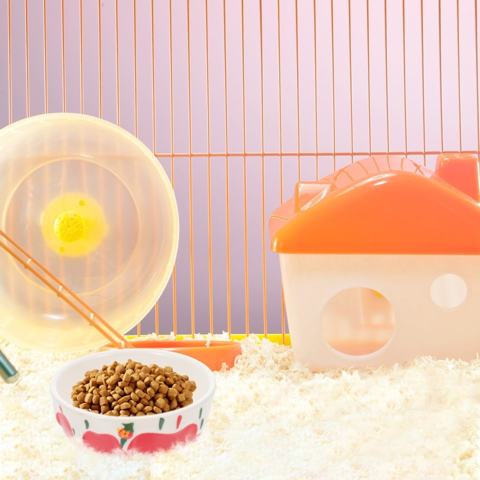 Guinea Pig Dish Ceramic Hamster Dish Ceramic Rat Bowl Hamster Water ...
