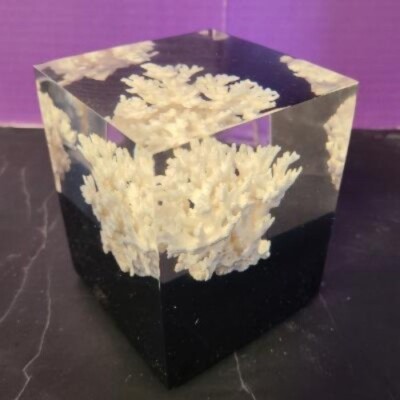 Chic Modern Vintage MCM Lucite Acrylic Cube Block Coral Sculpture Décor ...