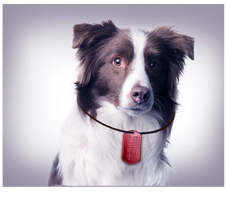 Hot Selling 72 Letter Dog Tag ID Metal Tag Punching Machine Embossing ...