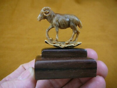 (TB-RAM-3) tan Mountain Ram sheep tagua nut figurine Bali detailed rams ...