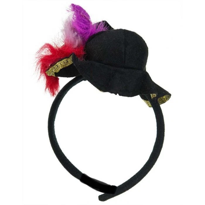 The Wiggles Captain Feathersword Pirate Show