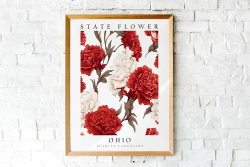 Scarlet Carnation, Ohio State Flower, Poster Print, Wall Décor | eBay