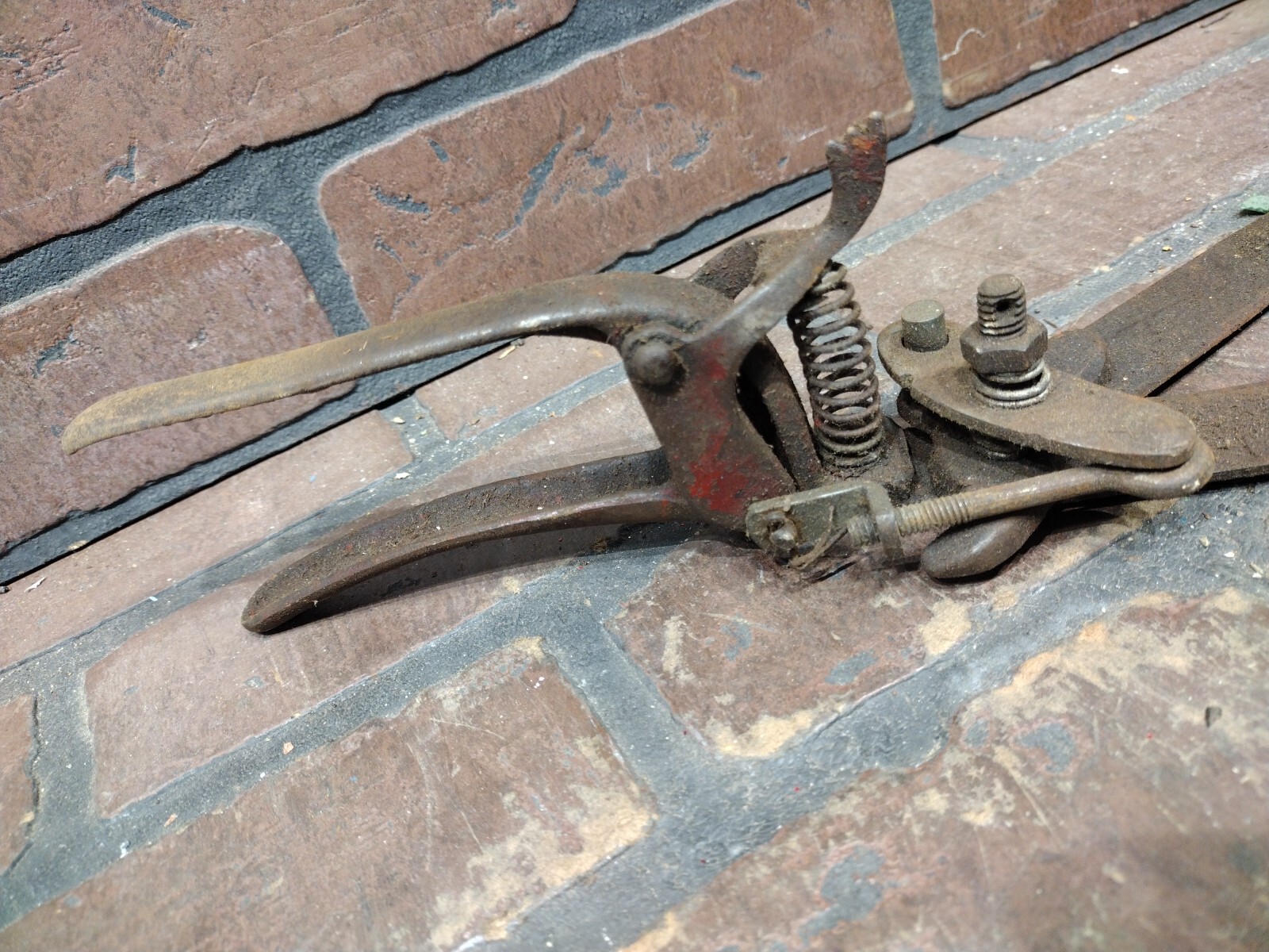 Vintage Grass Yard Lawn Garden Clippers Pruning Shears Snips | eBay