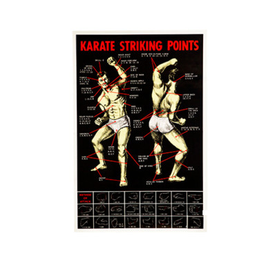 Pressure Point Dim Mak Striking Points Poster | eBay