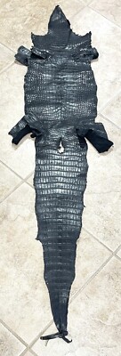 American Alligator Hide 5' Black Matte 30cm WHOLE Real Gator Hide 4363 ...