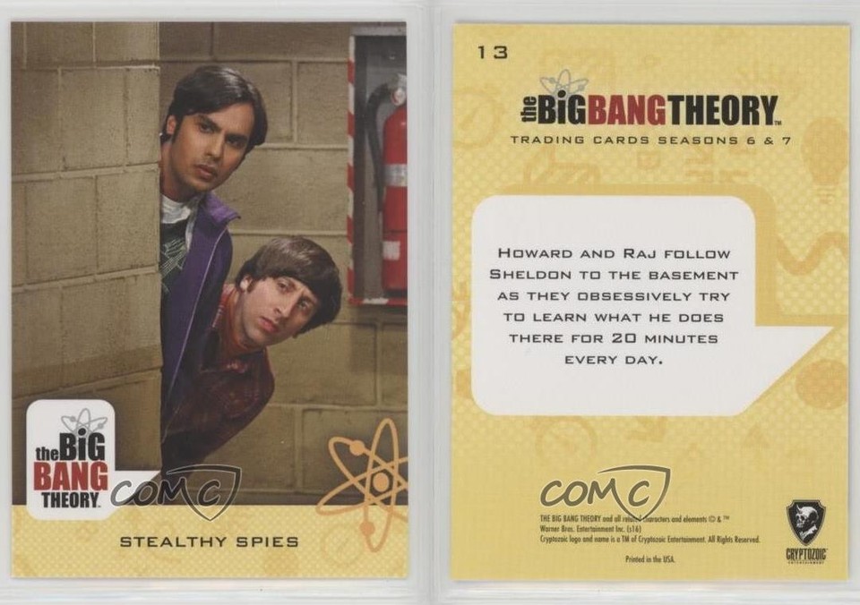 2016 The Big Bang Theory Seasons 6 & 7 Raj Koothrappali Howard Wolowitz ...