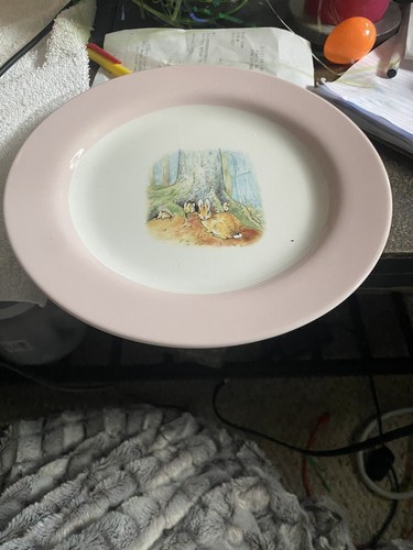 Pottery Barn Kids Beatrix Potter Peter Rabbit food plate brand new | eBay