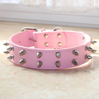 What Do Dog Collar Colors Mean