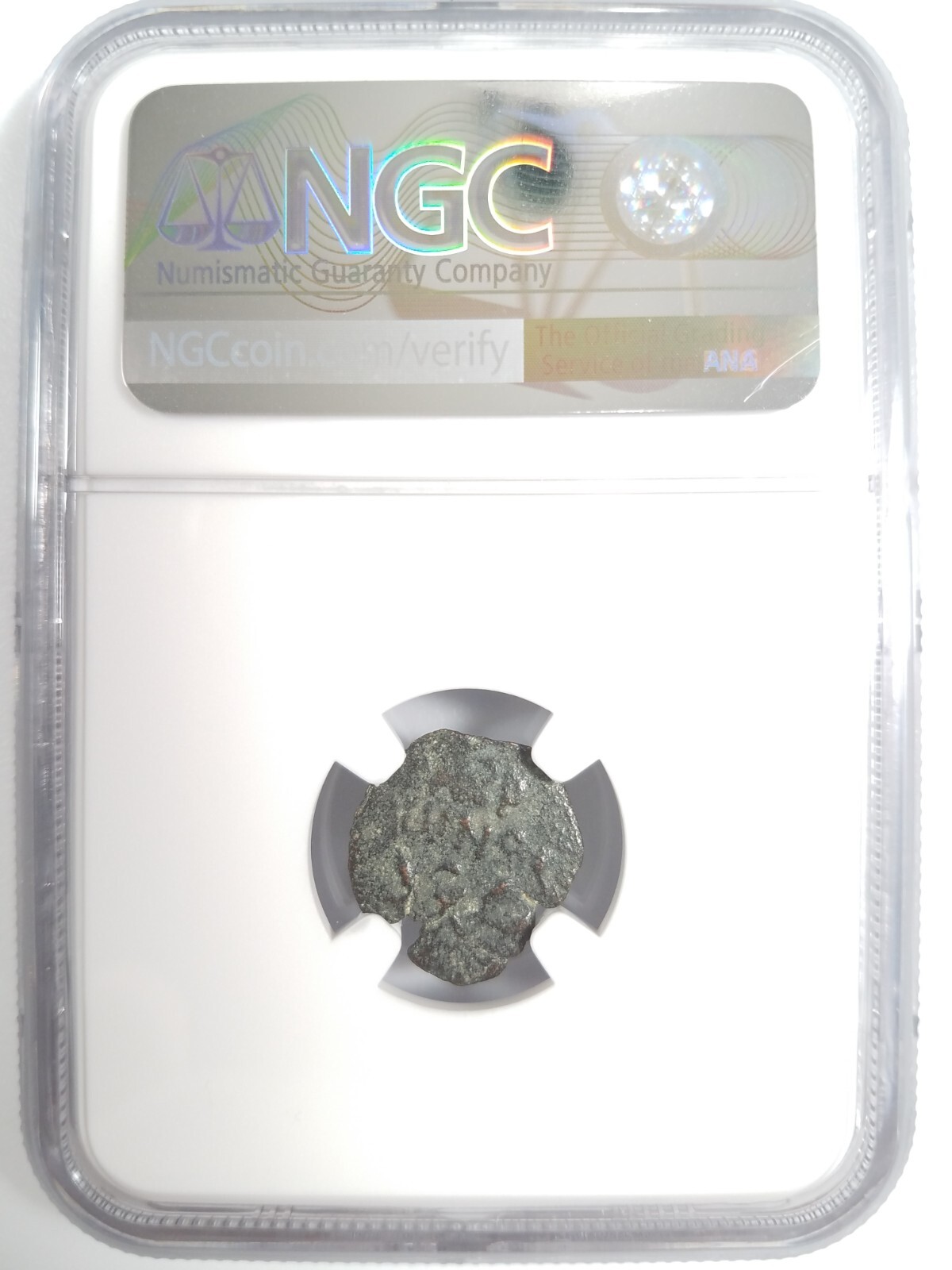 Porcius Festus Judaea AE Prutah NGC VF Under Nero Palm Branch Money Of ...