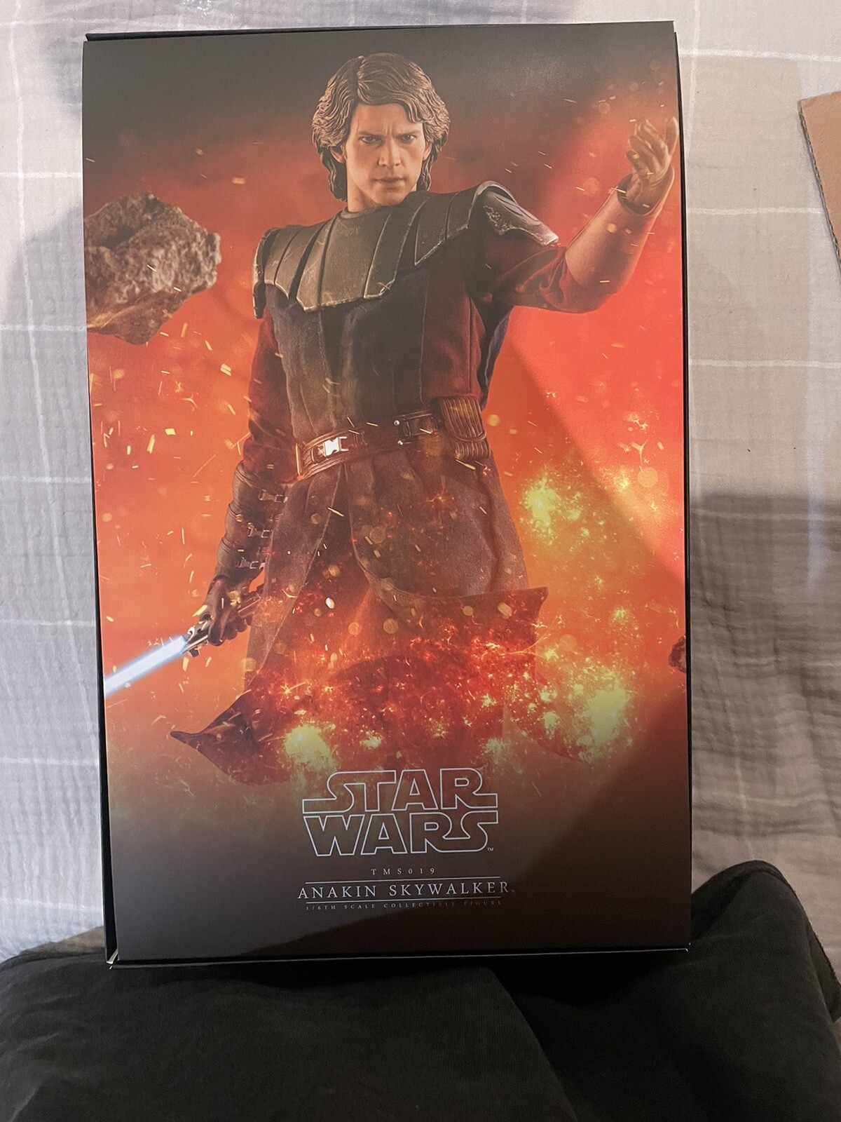 Hot Toys TMS019 Star Wars: The Clone Wars - Anakin Skywalker | eBay ...