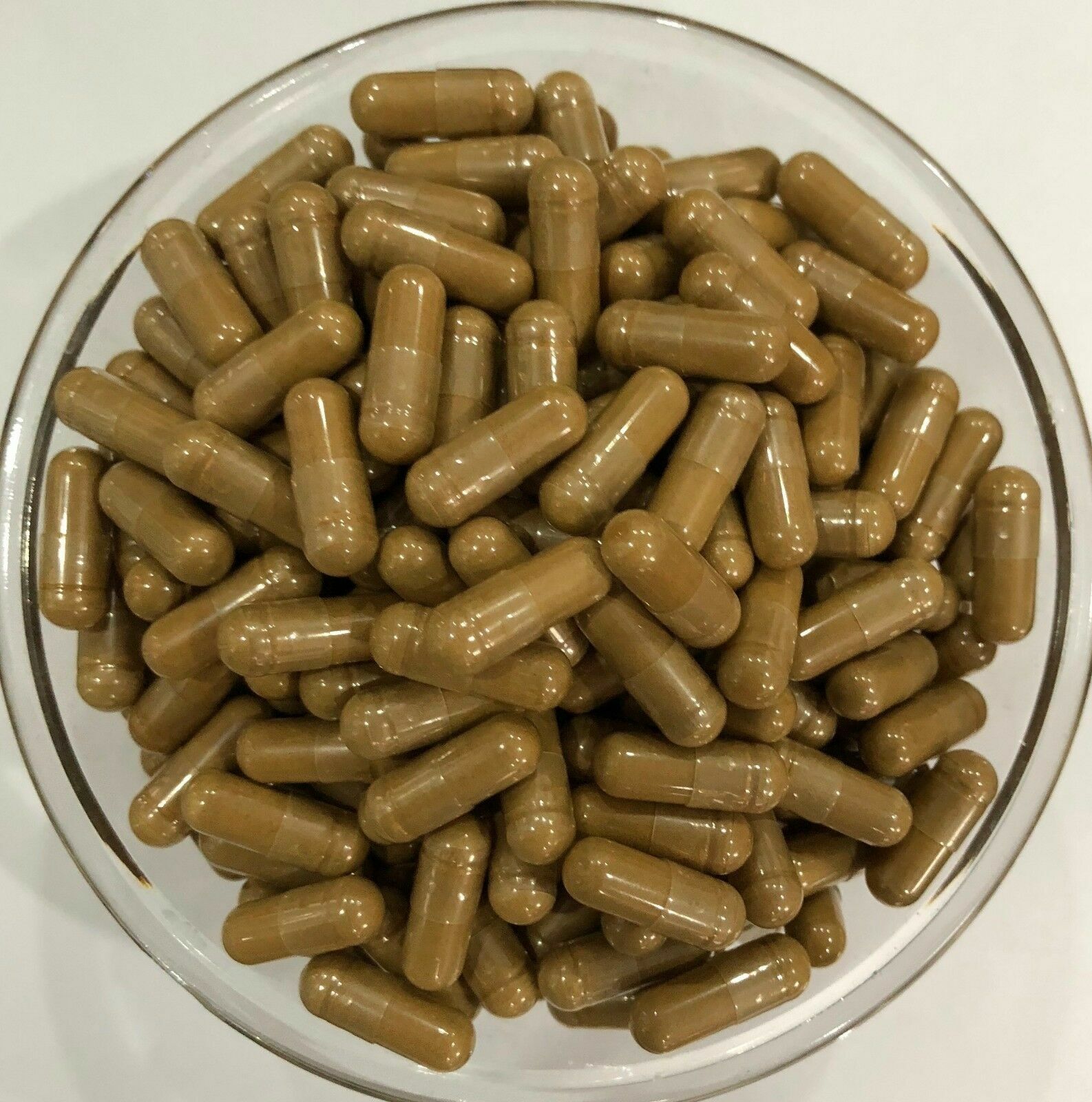 Khellin Extract 10:1 Capsules Ammi Visnaga Extract High Quality No ...