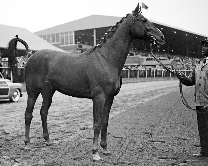 STYMIE 8X10 PHOTO HORSE RACING PICTURE JOCKEY | eBay