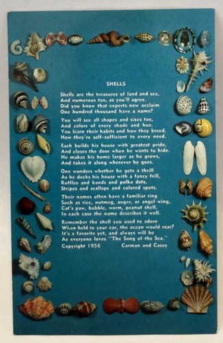 Shells Poem by Carman and Casey 1956 St. Petersburg Florida FL Unposted ...