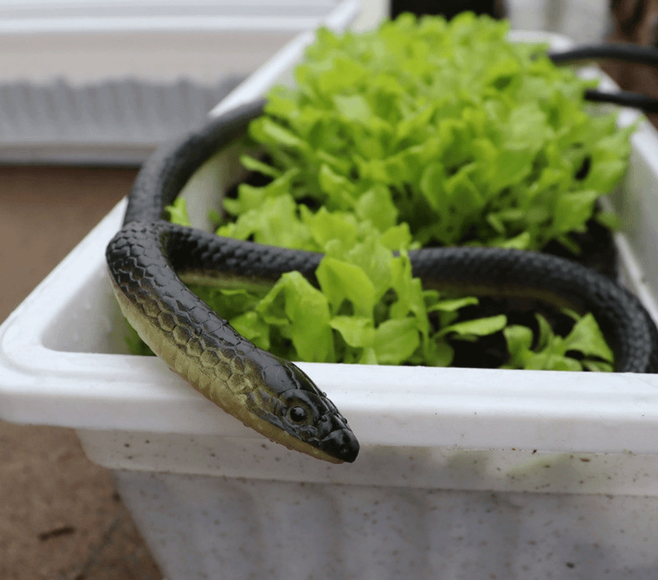 52" Fake Realistic Snake Lifelike Scary Rubber Toy Prank Party Joke ...