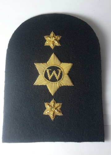 ROYAL NAVY LEADING WRITER, GOLD TRADE BADGE | eBay