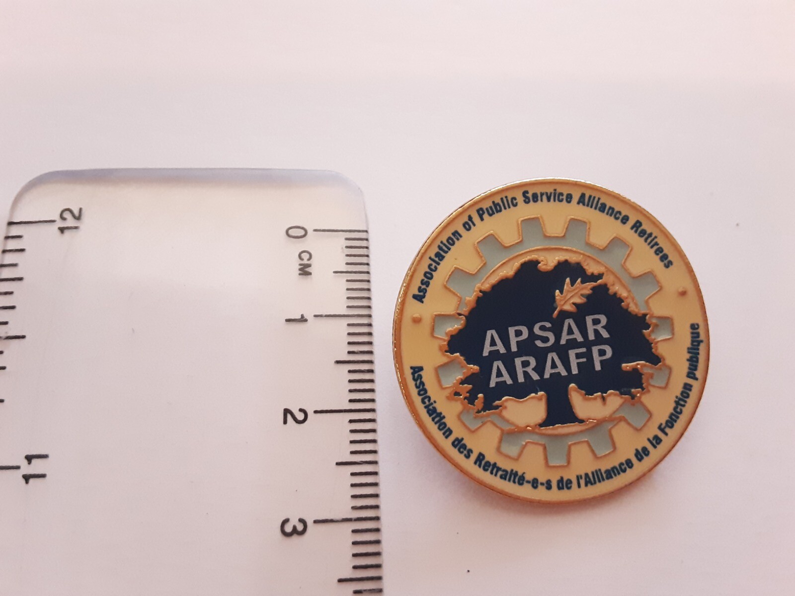 Rare Hat Lapel Union Pin APSAR Public Service Reitrees | eBay