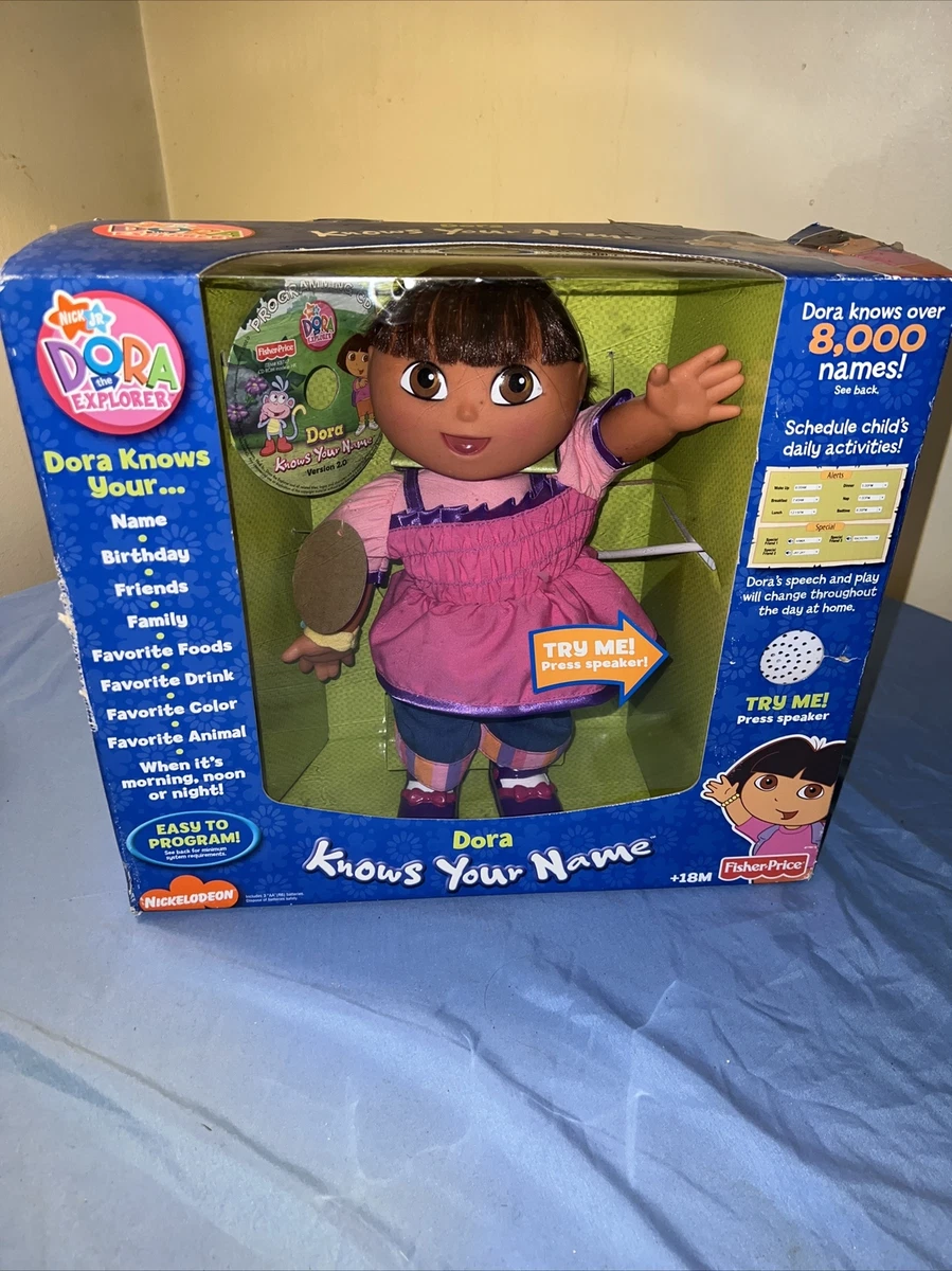 Toys R Us Dora Kitchen