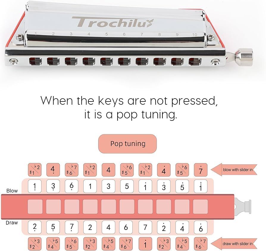 JDR Trochilus/Bushman Game Changer 10 Hole Slide Chromatic/Diatonic ...
