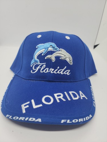 Cap FLORIDA DOLPHINS Hat Baseball Cap Embroidered Blue USA h2 | eBay