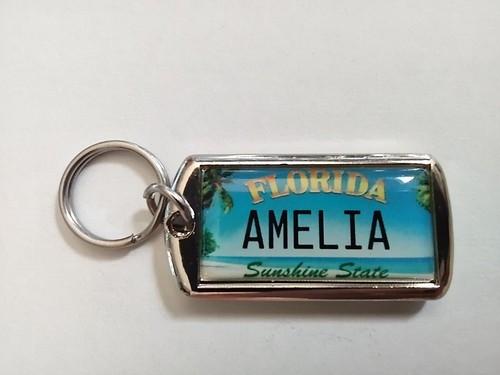 Florida Personalized Keychain Amelia Sunshine State Name Dolphin 1 1/2 ...