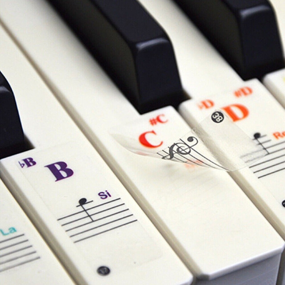 Universal Plastic Piano Music Keyboard Sticker 37/49/61/88 Key Note ...