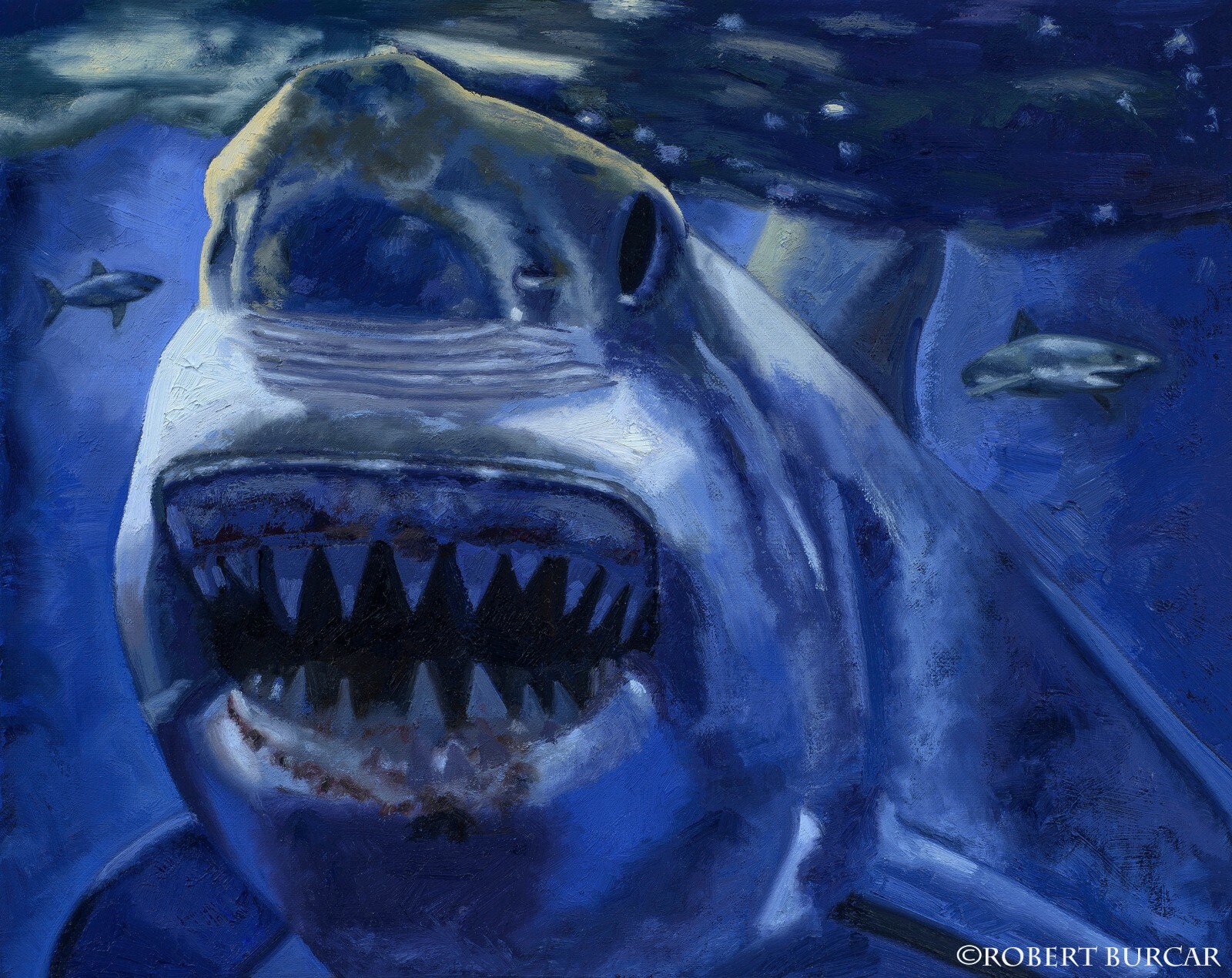 Great White Shark Art