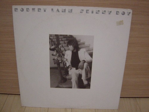 Lp Aor Robert Lamm Skinny Boy | eBay