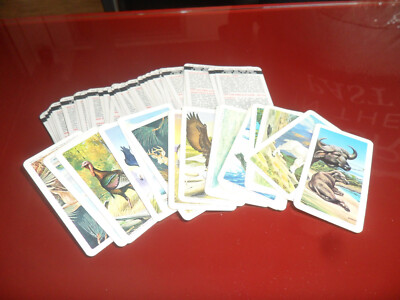 Red Rose Tea - Brooke Bond Foods - Lot of 66 New Cards (Animal, Arctic ...
